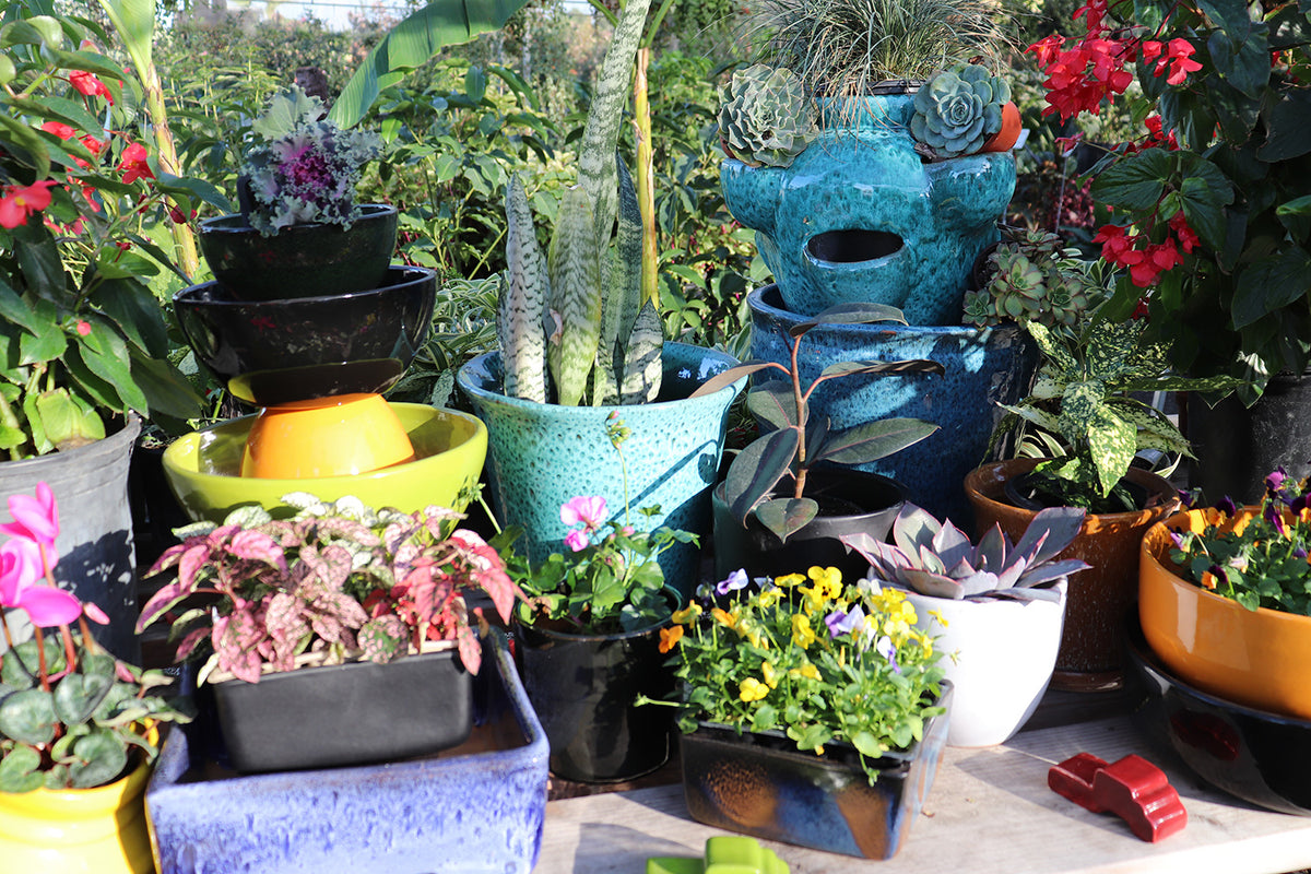 PMD Signature Pots – PotteryMfg